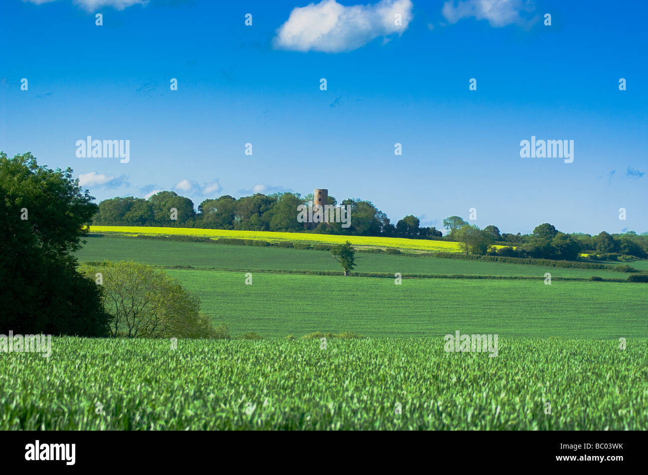 Racton Memorial Ruins near Chichester Hampshire Stock Photo - Alamy