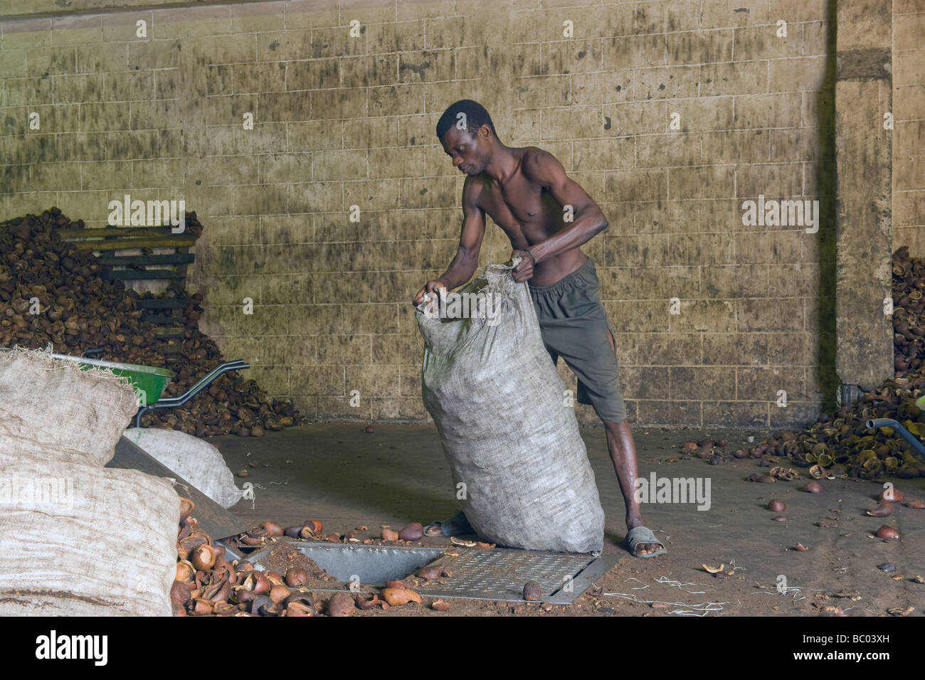 Copra hi-res stock photography and images - Alamy