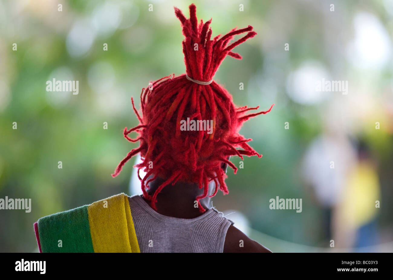 Rasta man with dreadlocks hi-res stock photography and images - Alamy
