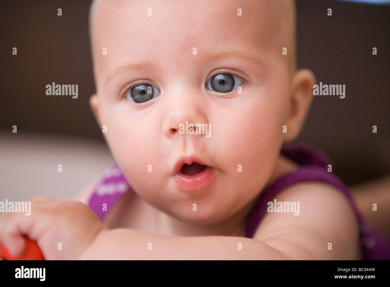 portrait of three month old baby girl looking surprised, closeup Stock ...