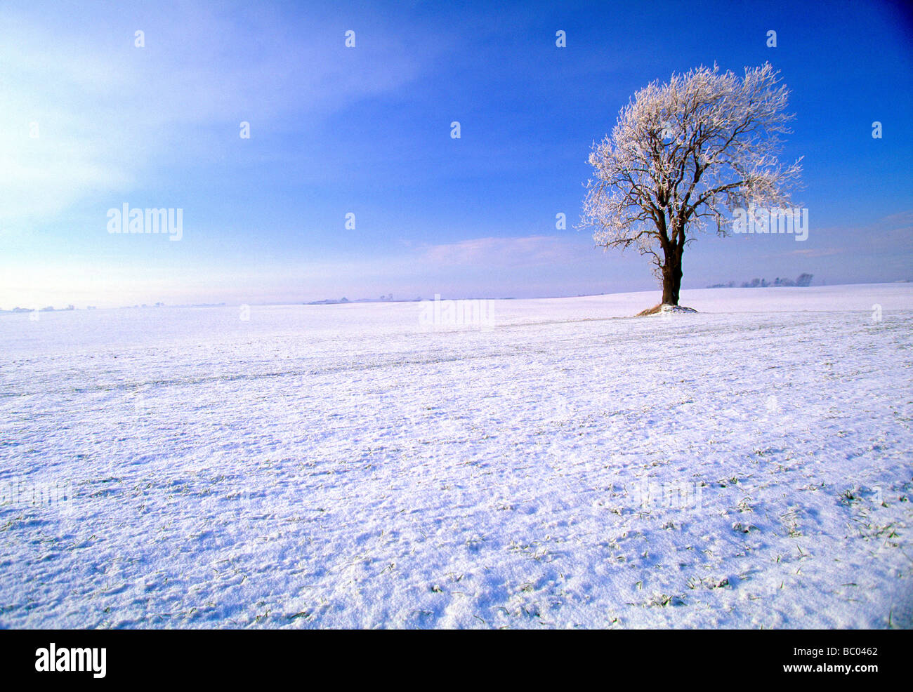 Winter snowy landscape in hi-res stock photography and images - Alamy