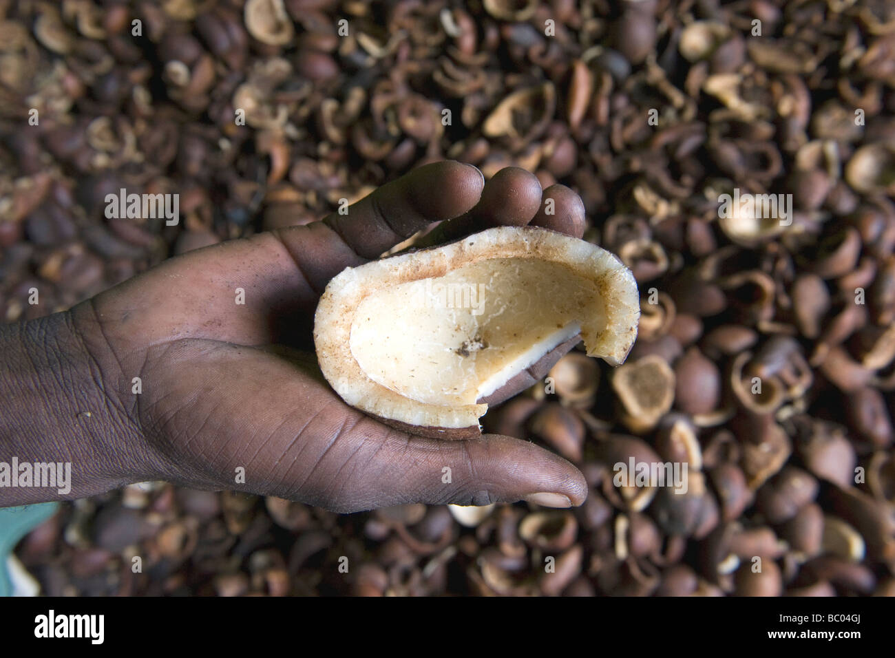 Copra hi-res stock photography and images - Alamy