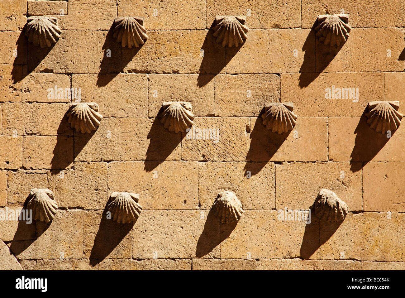 Antiguo edificio de conchas hi-res stock photography and images - Alamy