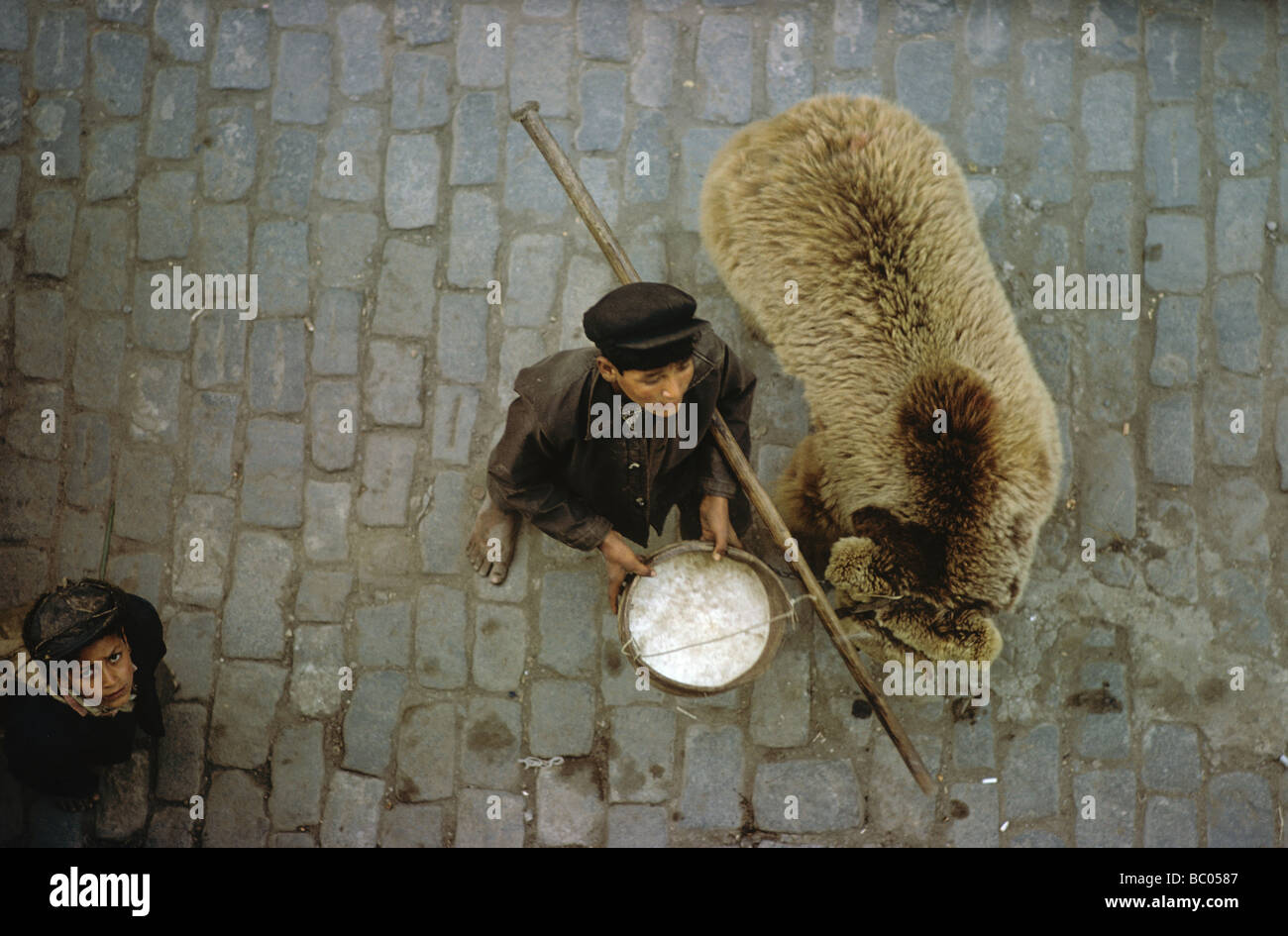 Dancing bear hi-res stock photography and images - Alamy