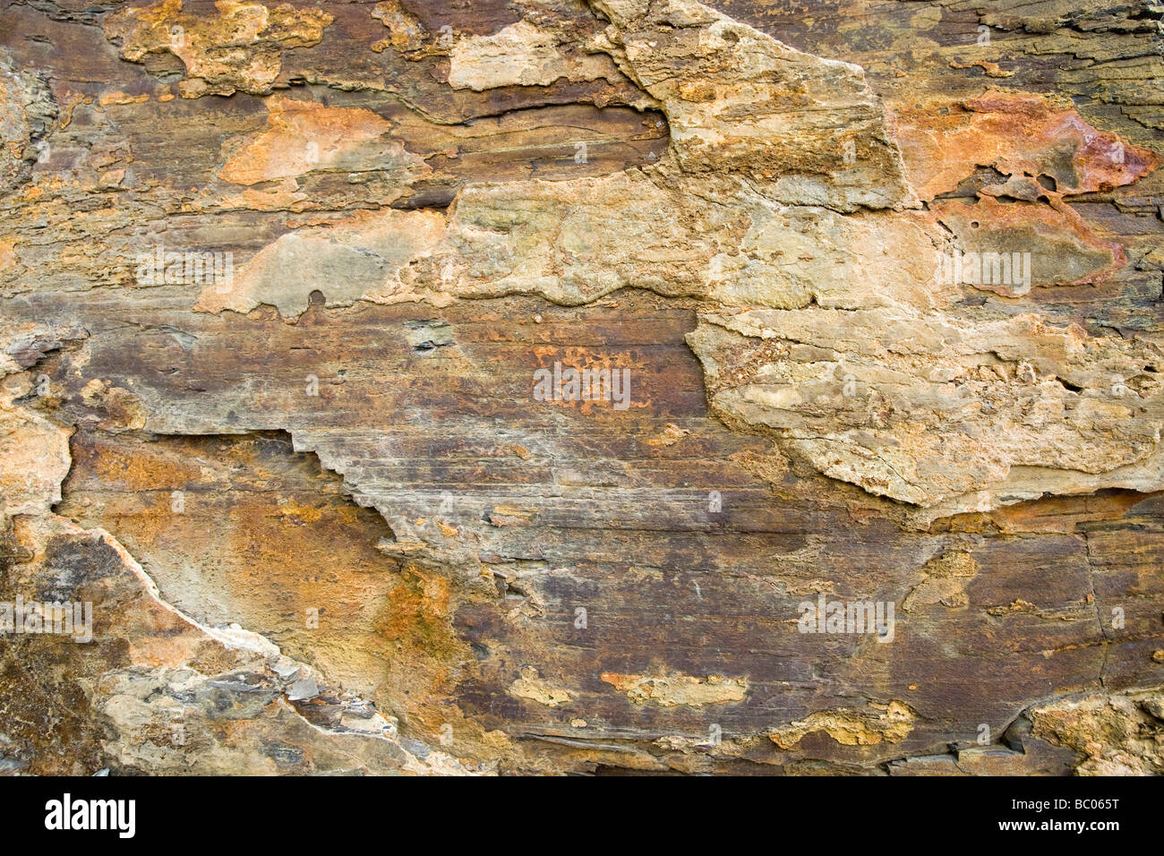 Geology on the North Yorkshire Coast, England Stock Photo - Alamy