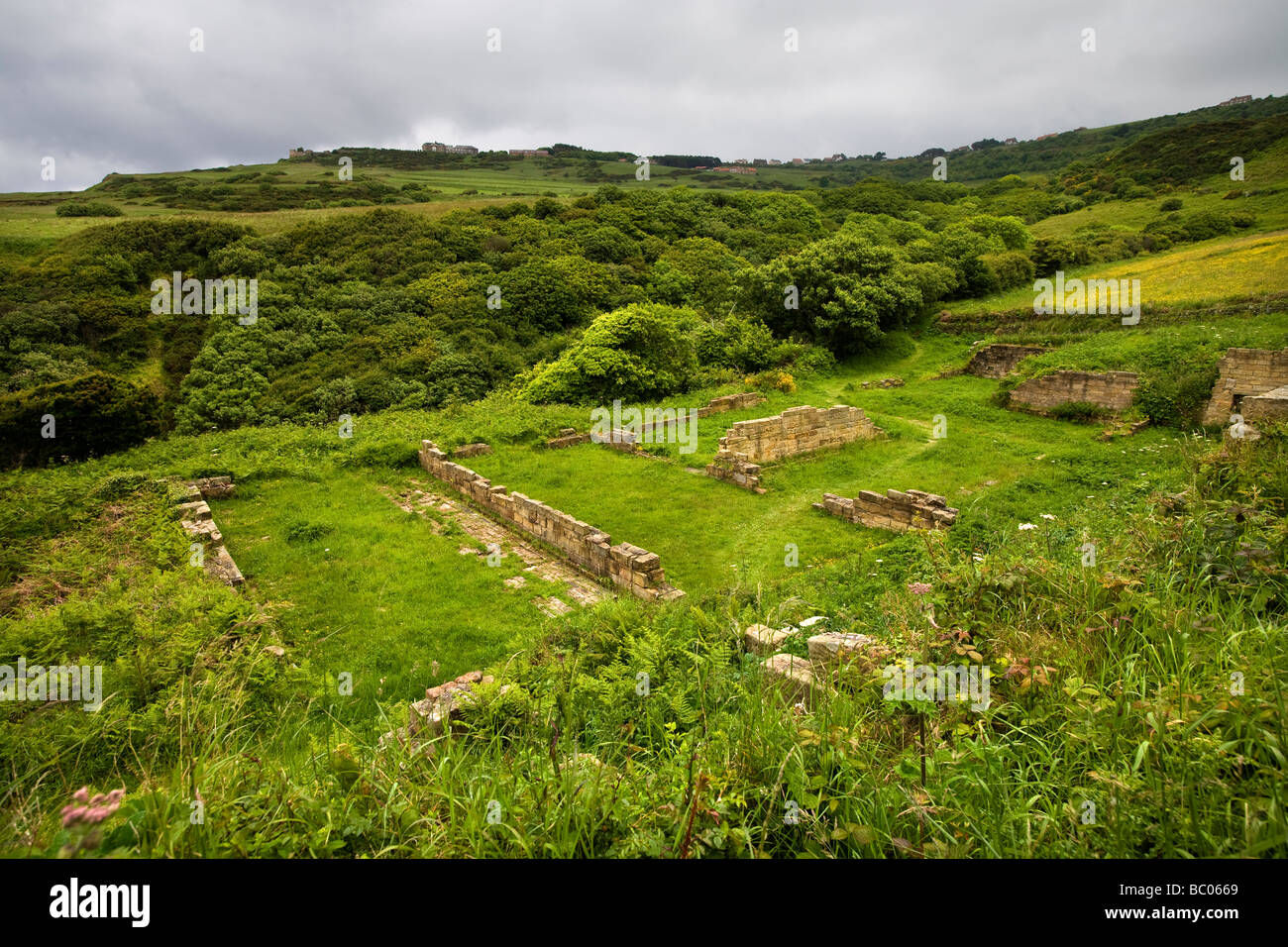 Ruined remains of the Peak Alum Works Ravenscar North Yorkshire England ...