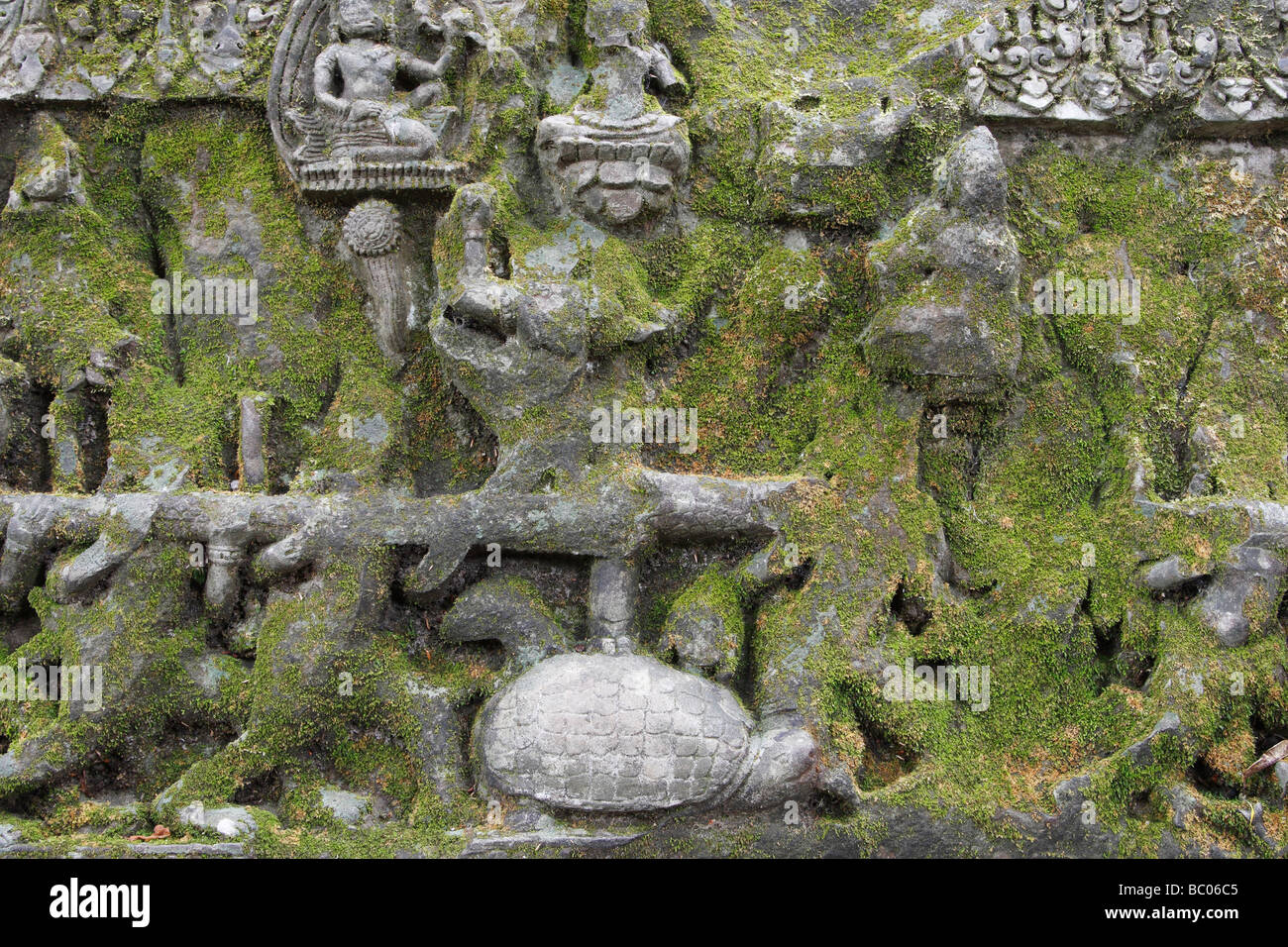Turtle carving hi-res stock photography and images - Alamy