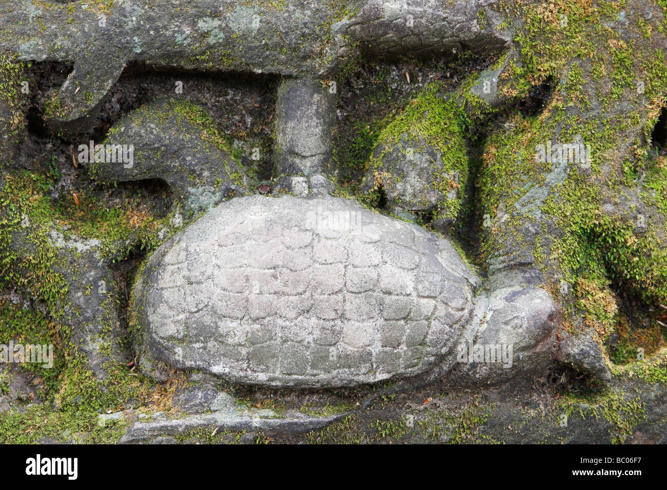 Stone turtle animal carving cambodia hi-res stock photography and ...