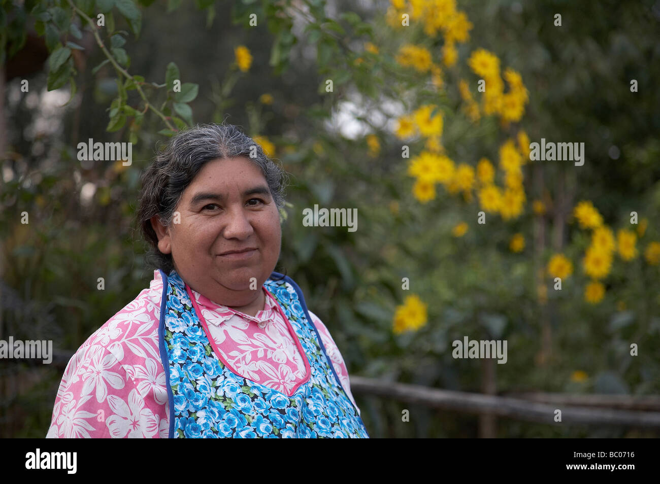 Mapuche People High Resolution Stock Photography and Images - Alamy