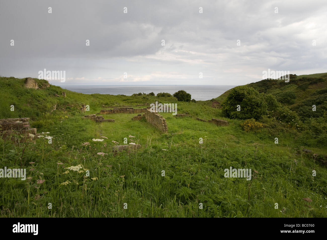 Ruined remains of the Peak Alum Works with cliff and sea in distance ...