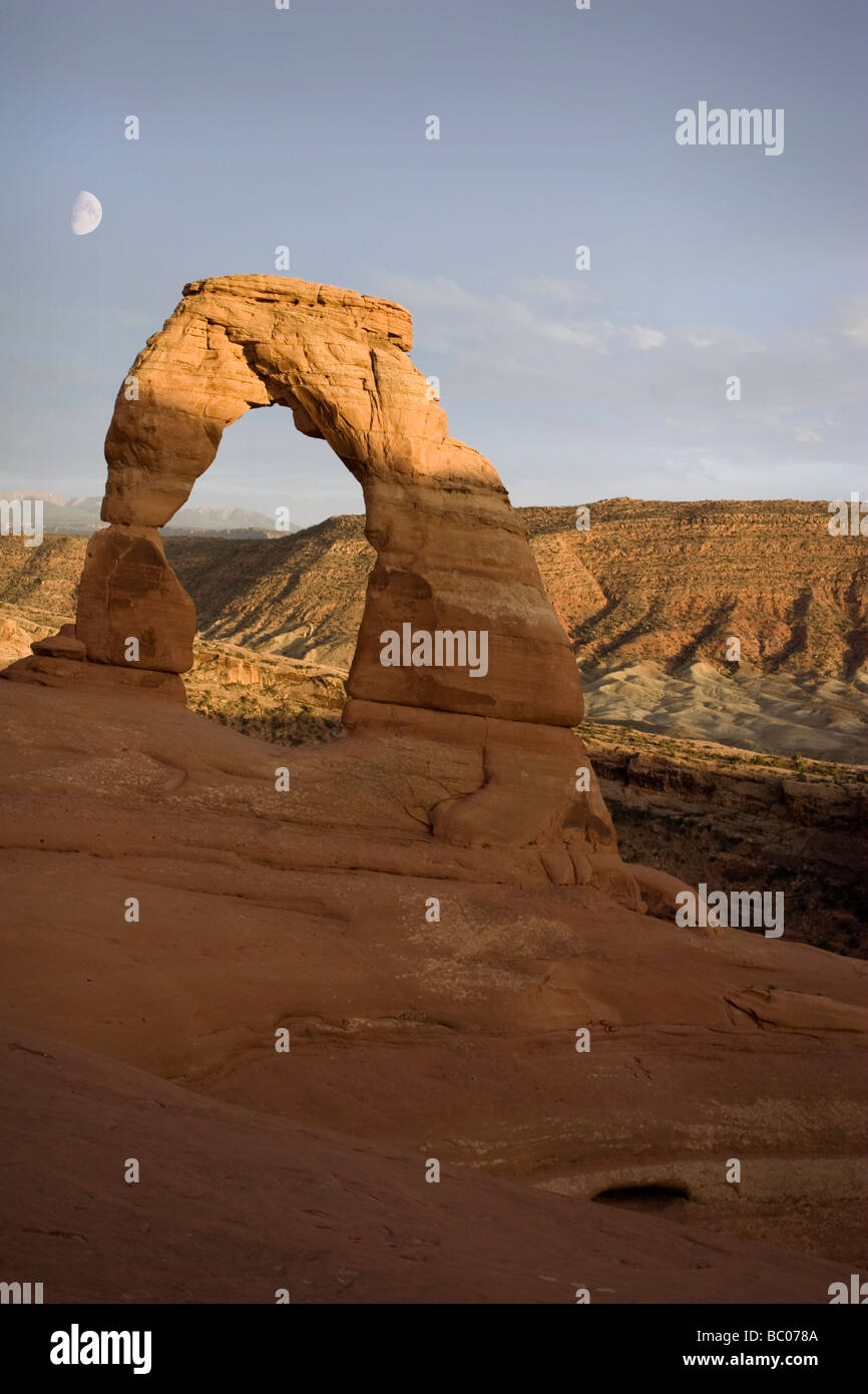 Delicate exploration hi-res stock photography and images - Alamy