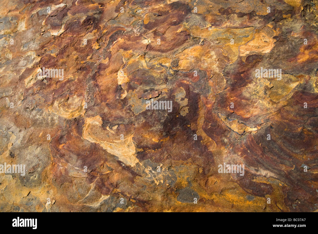 Geology on the North Yorkshire Coast, England Stock Photo - Alamy