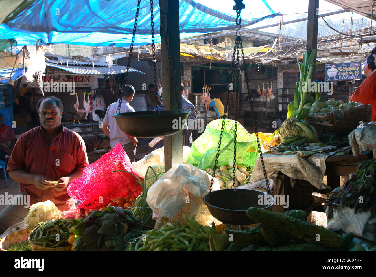 India Tamil Nadu Market Ooty High Resolution Stock Photography and ...