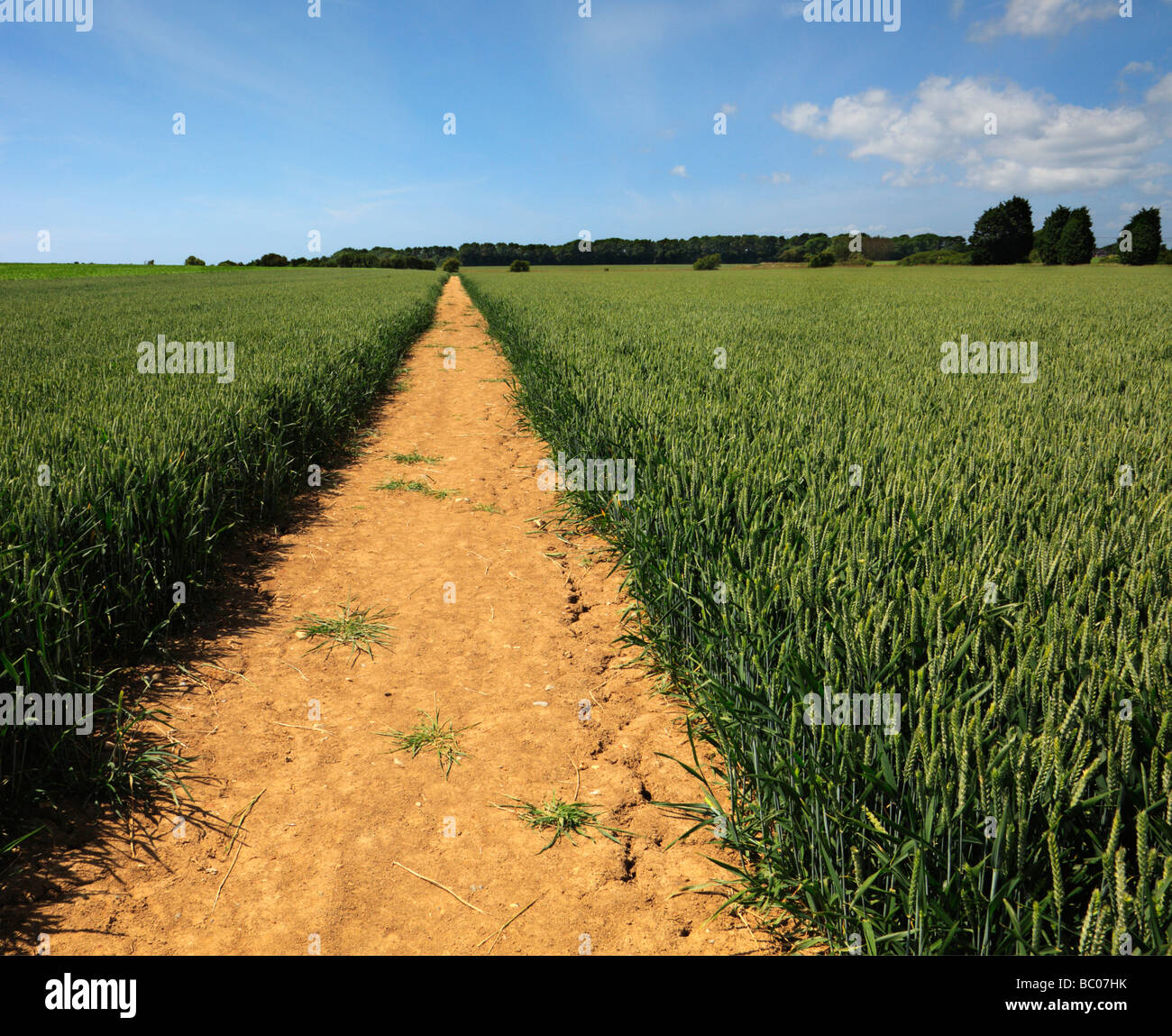 Flat open countryside hi-res stock photography and images - Alamy