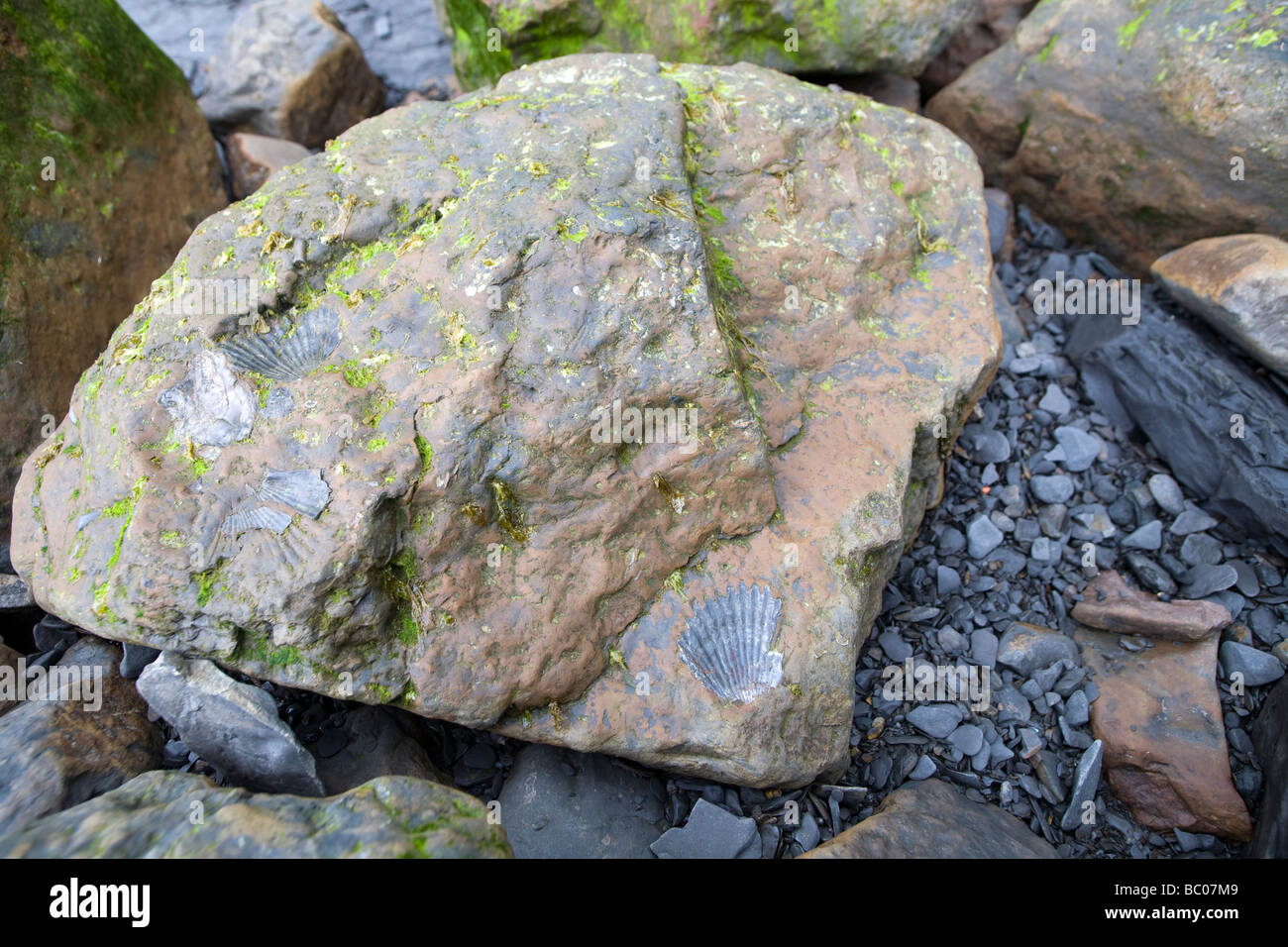 Geology on the North Yorkshire Coast, England Stock Photo - Alamy