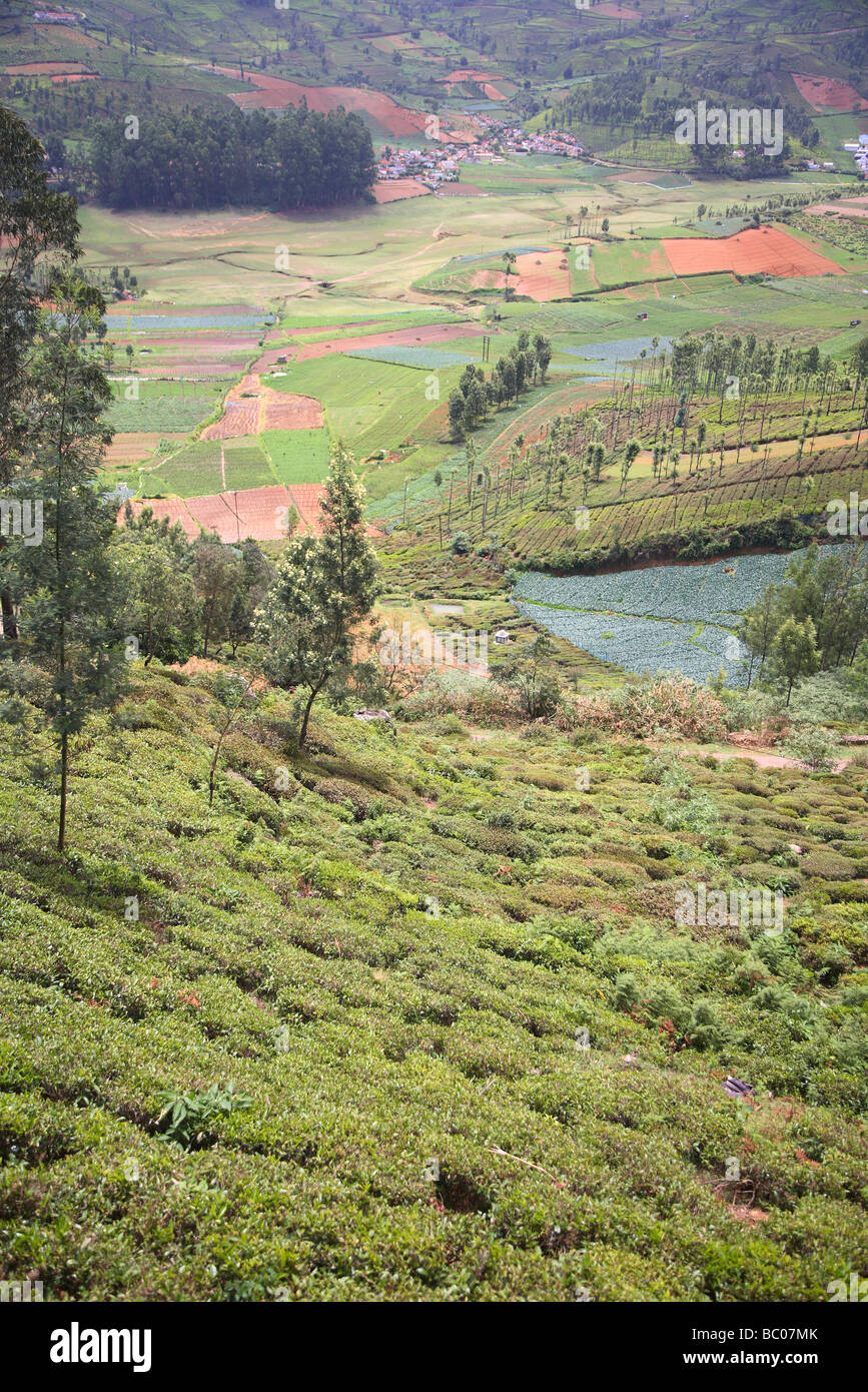 2300 2500 Meters High High Resolution Stock Photography and Images - Alamy