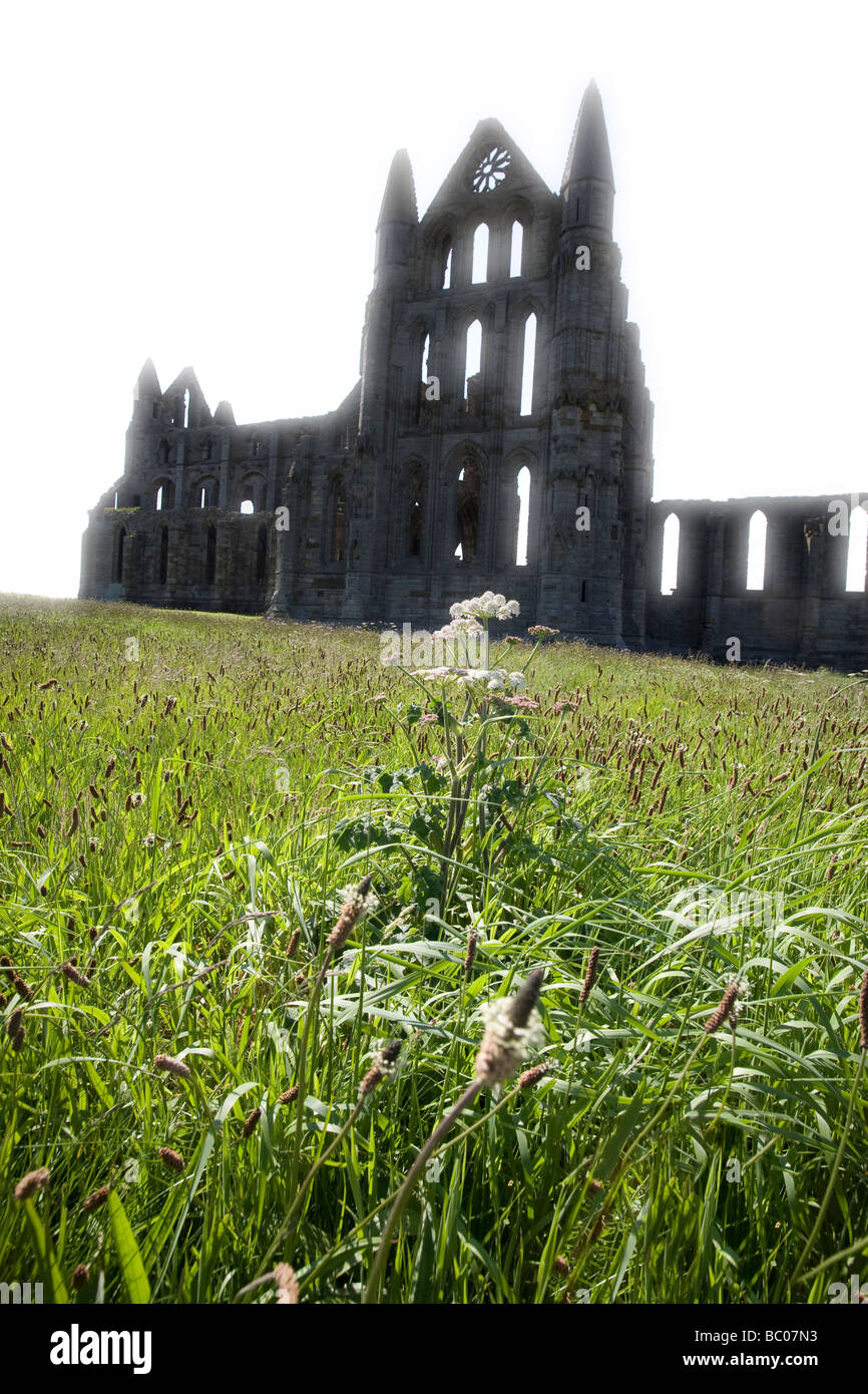 The ruinsof Whitby Abbey, East Cliff, Whitby, North Yorkshire, England ...