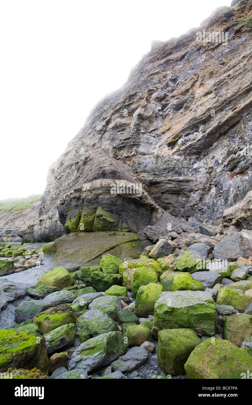 Cliff and beach details from the Whitby coastline showing green lichen ...