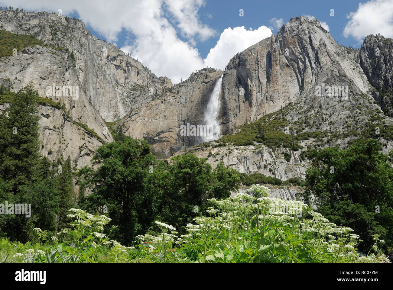 Yosemite Falls in spring Stock Photo - Alamy