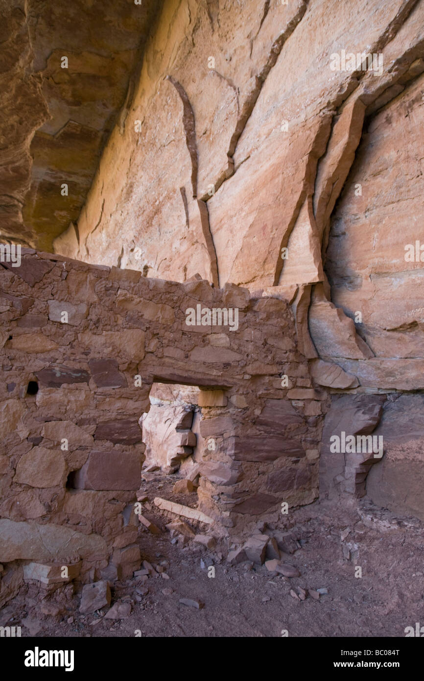 Prehistoric Anasazi cliff dwelling in Grand Gulch Primitive Area in ...