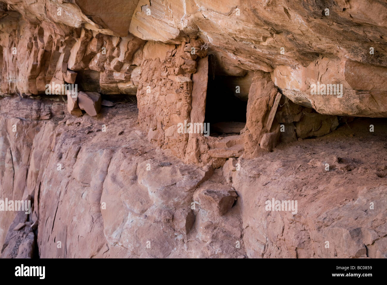 Prehistoric Anasazi cliff dwelling in Grand Gulch Primitive Area in ...