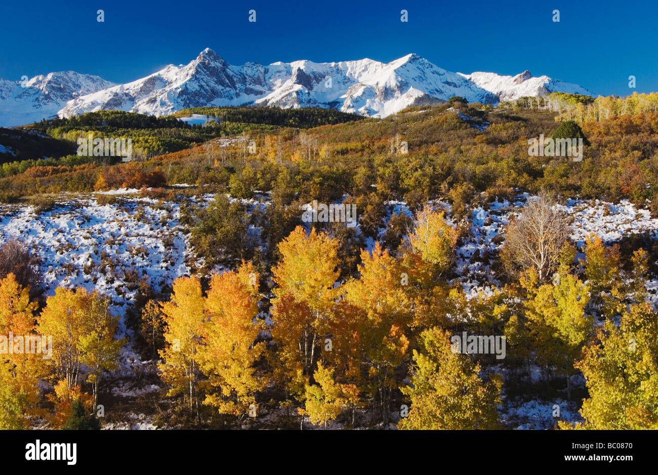 San Juan Mountains and Aspen trees in fallcolor at sunrise Dallas ...