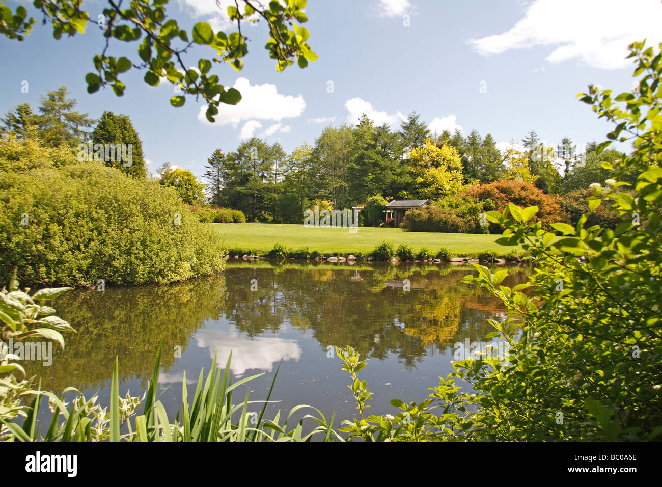 John f kennedy arboretum hi-res stock photography and images - Alamy