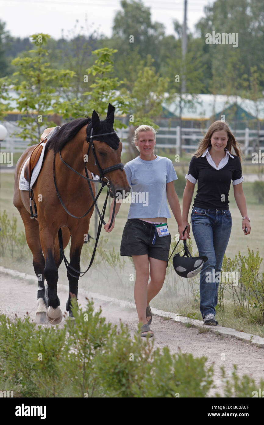 Groom girls leading Thoroughbred stallion Stock Photo - Alamy