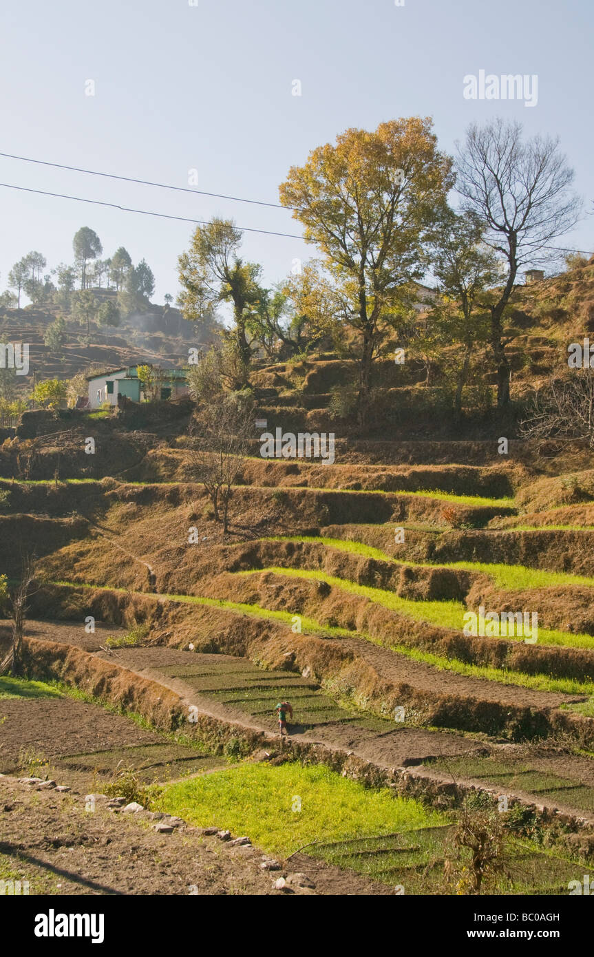 Rural India, Lower Himalayas,Kumaon Villagers, Villages, Ancient ...