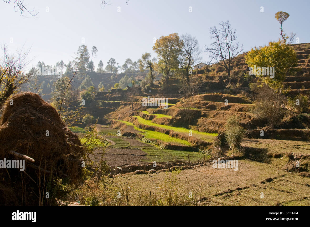 Rural India, Lower Himalayas,Kumaon Villagers, Villages, Ancient ...