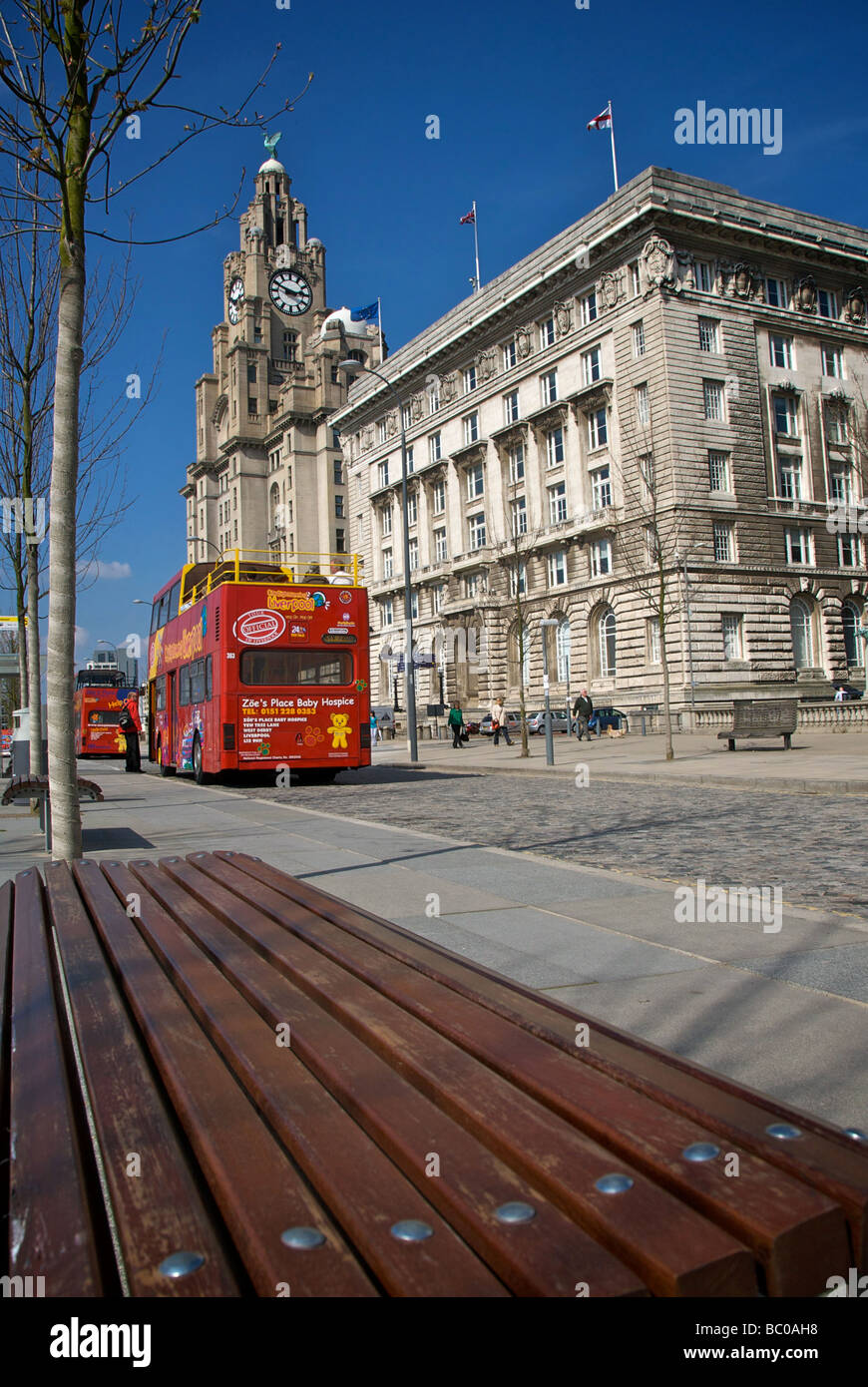 Top royal liver building hi-res stock photography and images - Alamy