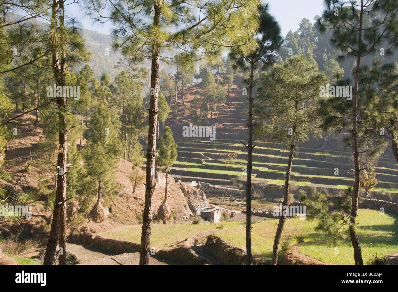 Rural India, Lower Himalayas,Kumaon Villagers, Villages, Ancient ...