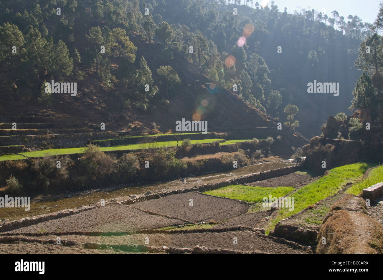 Rural India, Lower Himalayas,Kumaon Villagers, Villages, Ancient ...