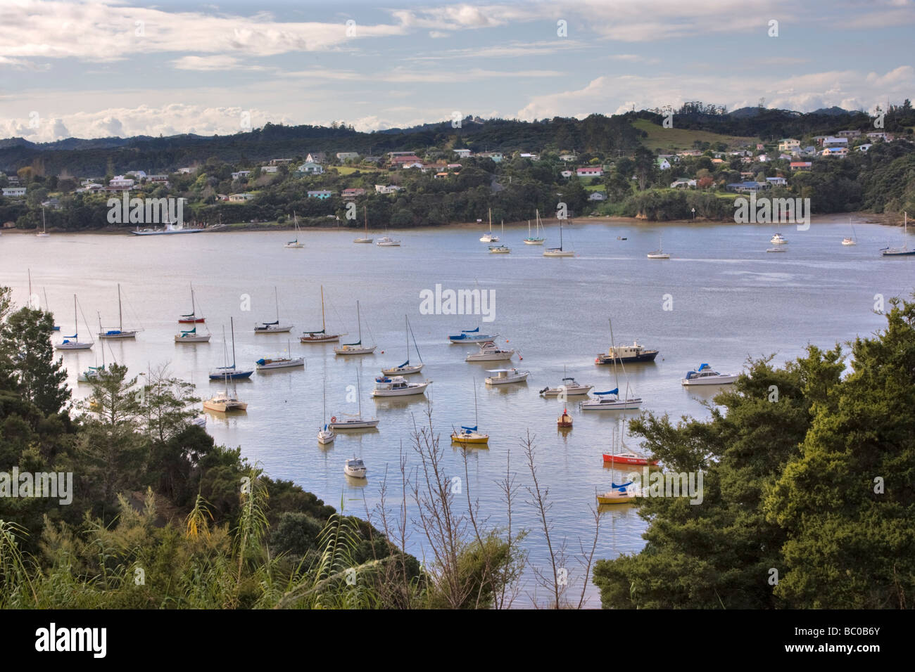 Boats at anchor in the Veronica Channel at Opua, Northland, New Zealand ...
