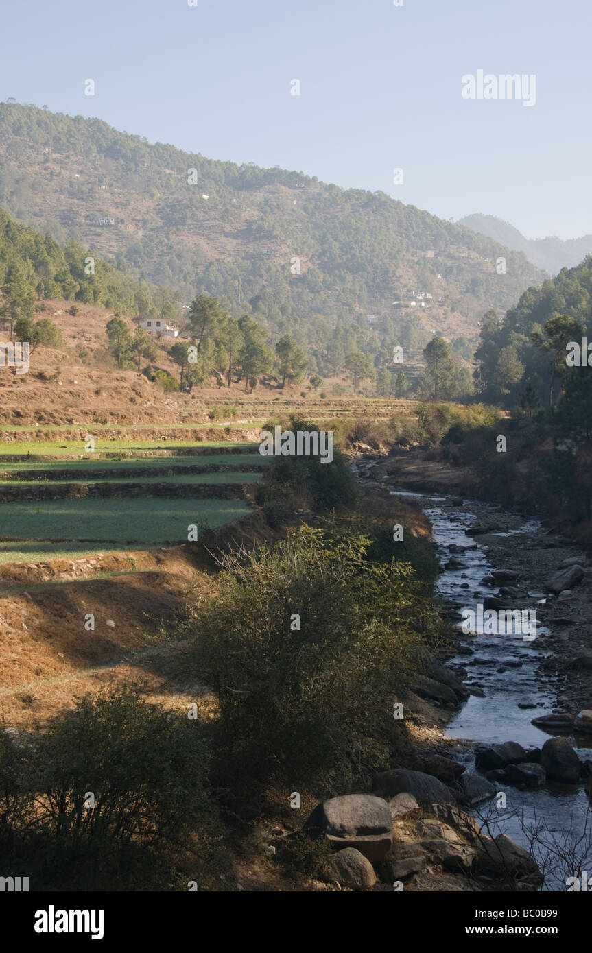 Rural India, Lower Himalayas,Kumaon Villagers, Ancient Terraces ...