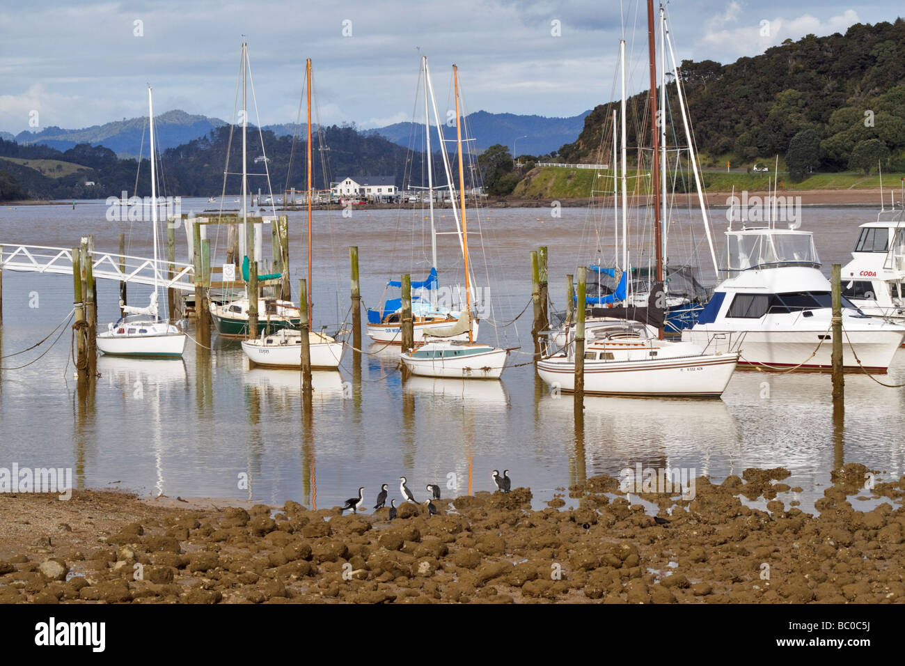 Anchor island new zealand hi-res stock photography and images - Alamy