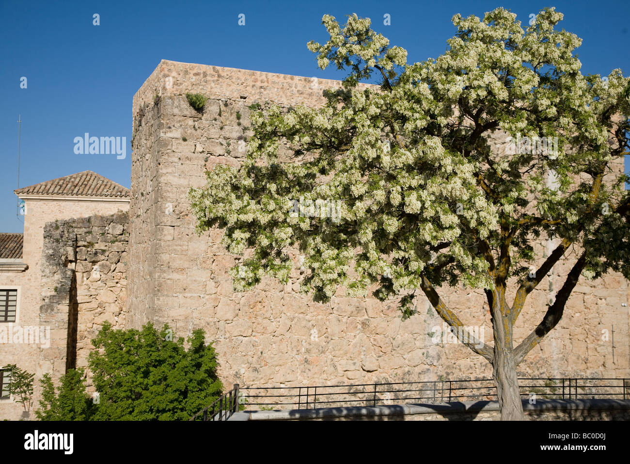Nature cuenca hi-res stock photography and images - Alamy