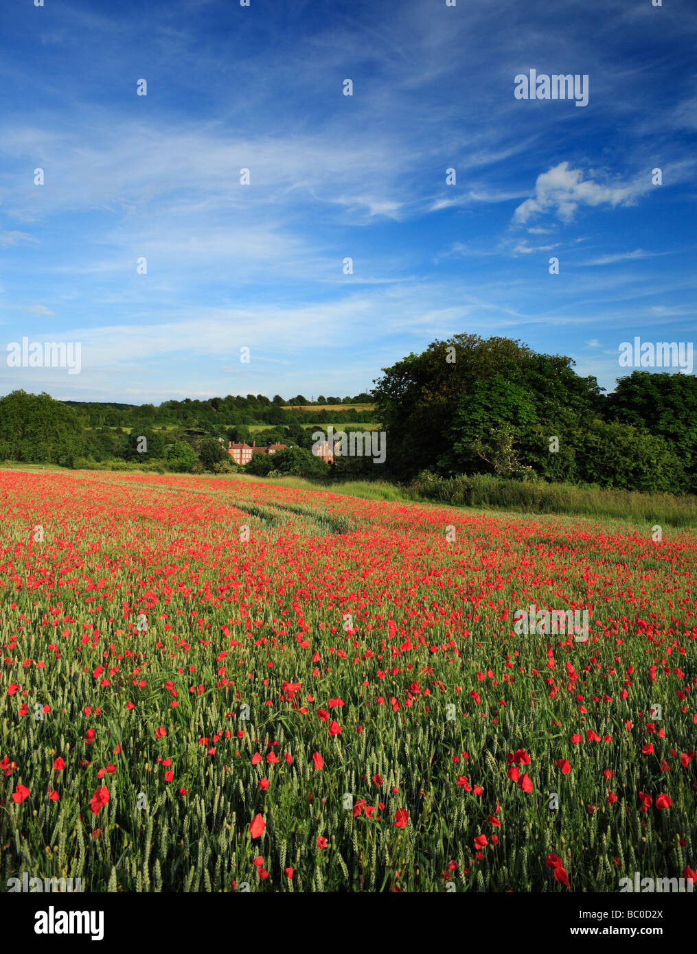 Kent landscape hi-res stock photography and images - Alamy