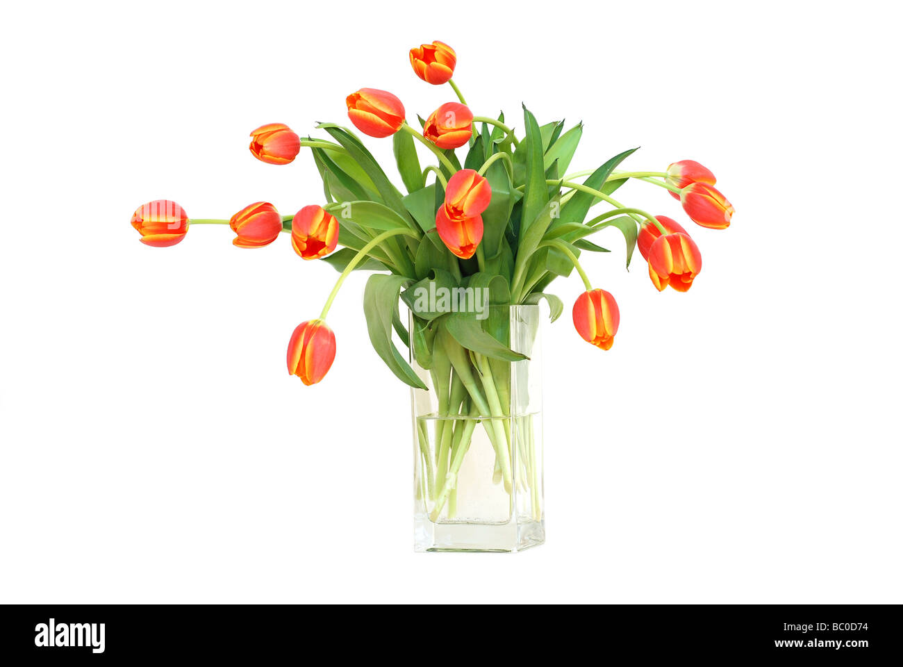 Bunch orange flowers in Cut Out Stock Images & Pictures - Alamy