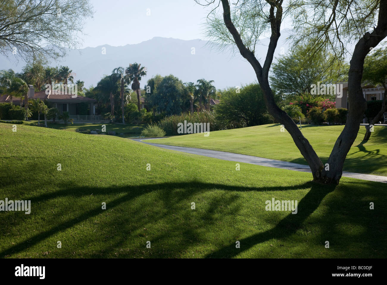 Golf Cart Pathway, Gary Player Signature Golf Course Stock Photo - Alamy