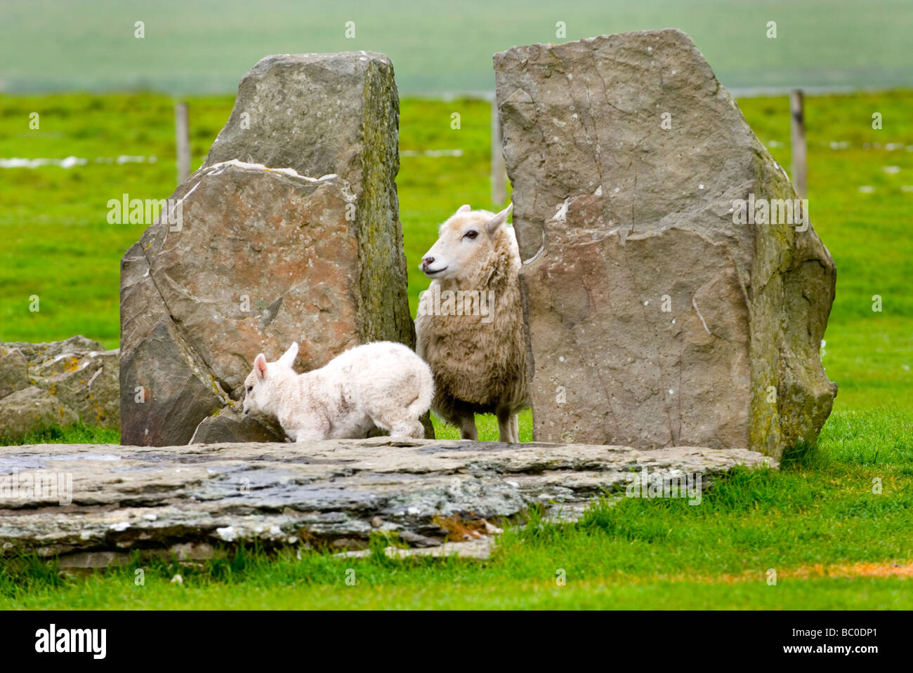 Standing stones of steness hi-res stock photography and images - Alamy