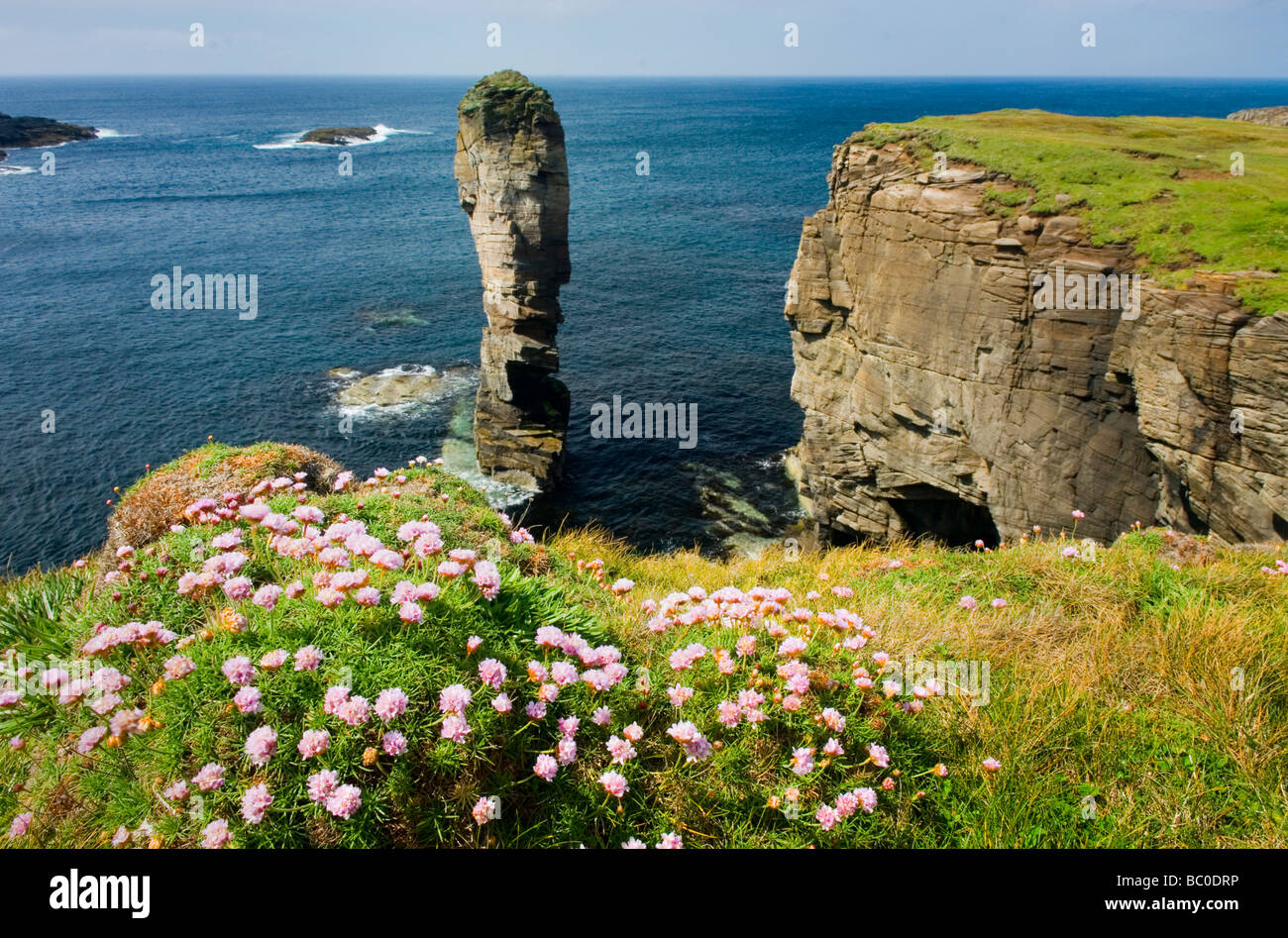 Yesnaby Castle a sea stack on the Coast of Mainland Orkney islands ...
