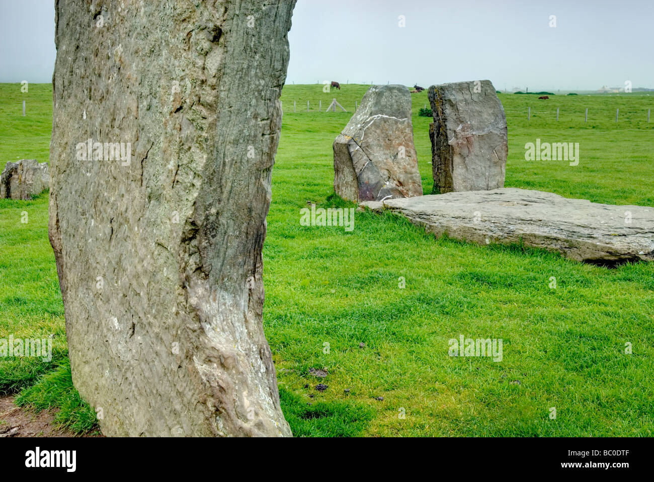 Neolithic standing stone hi-res stock photography and images - Alamy