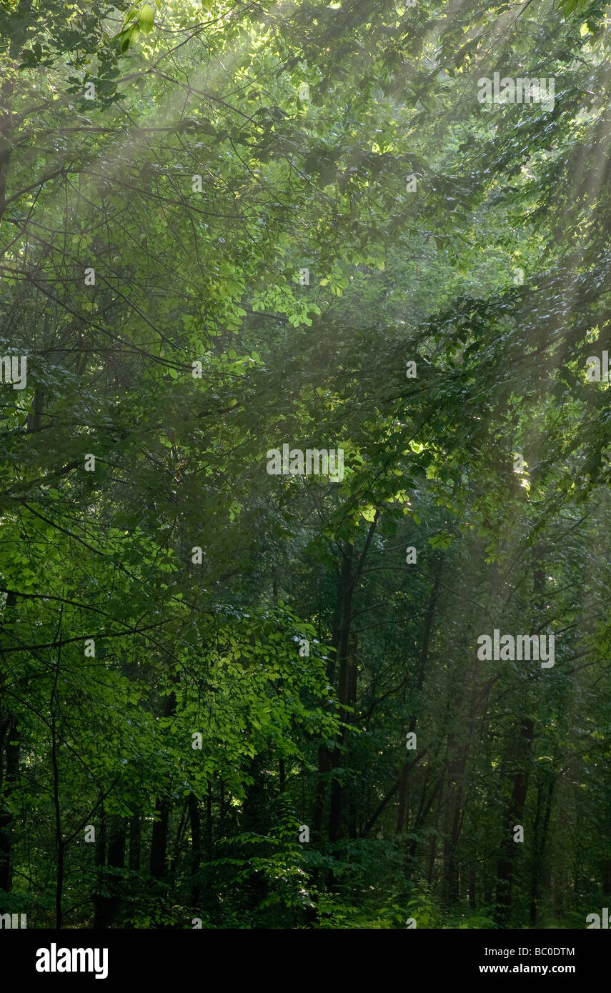 First beams hi-res stock photography and images - Alamy