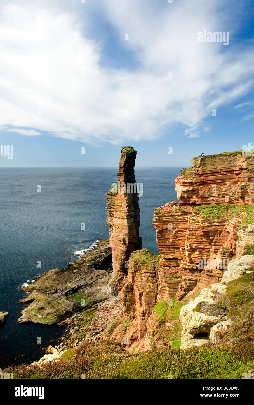 The Old Man Of Hoy a 450 tall sea stack on the Isle of Hoy Orkney ...