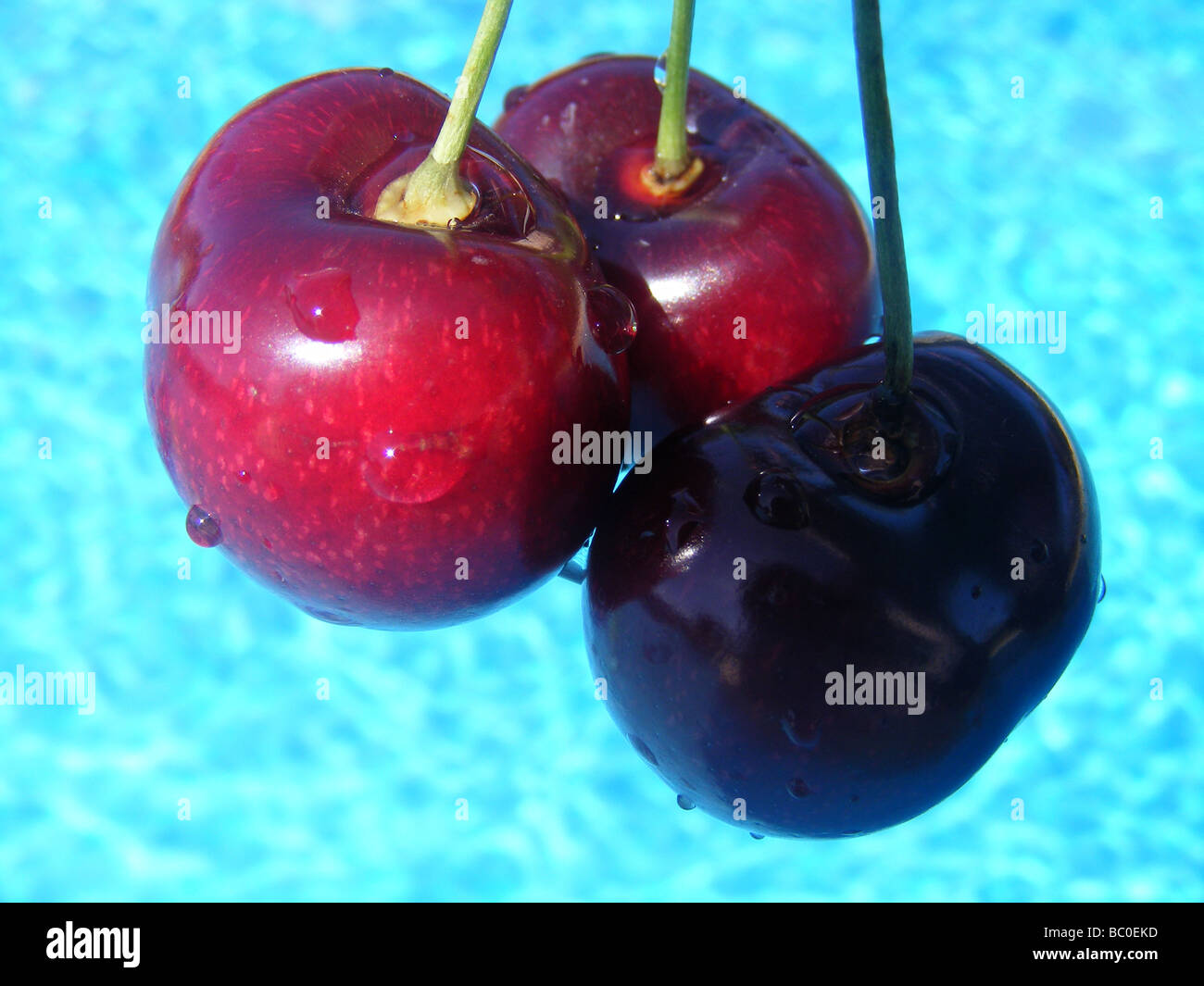 Perfect cherries hi-res stock photography and images - Alamy