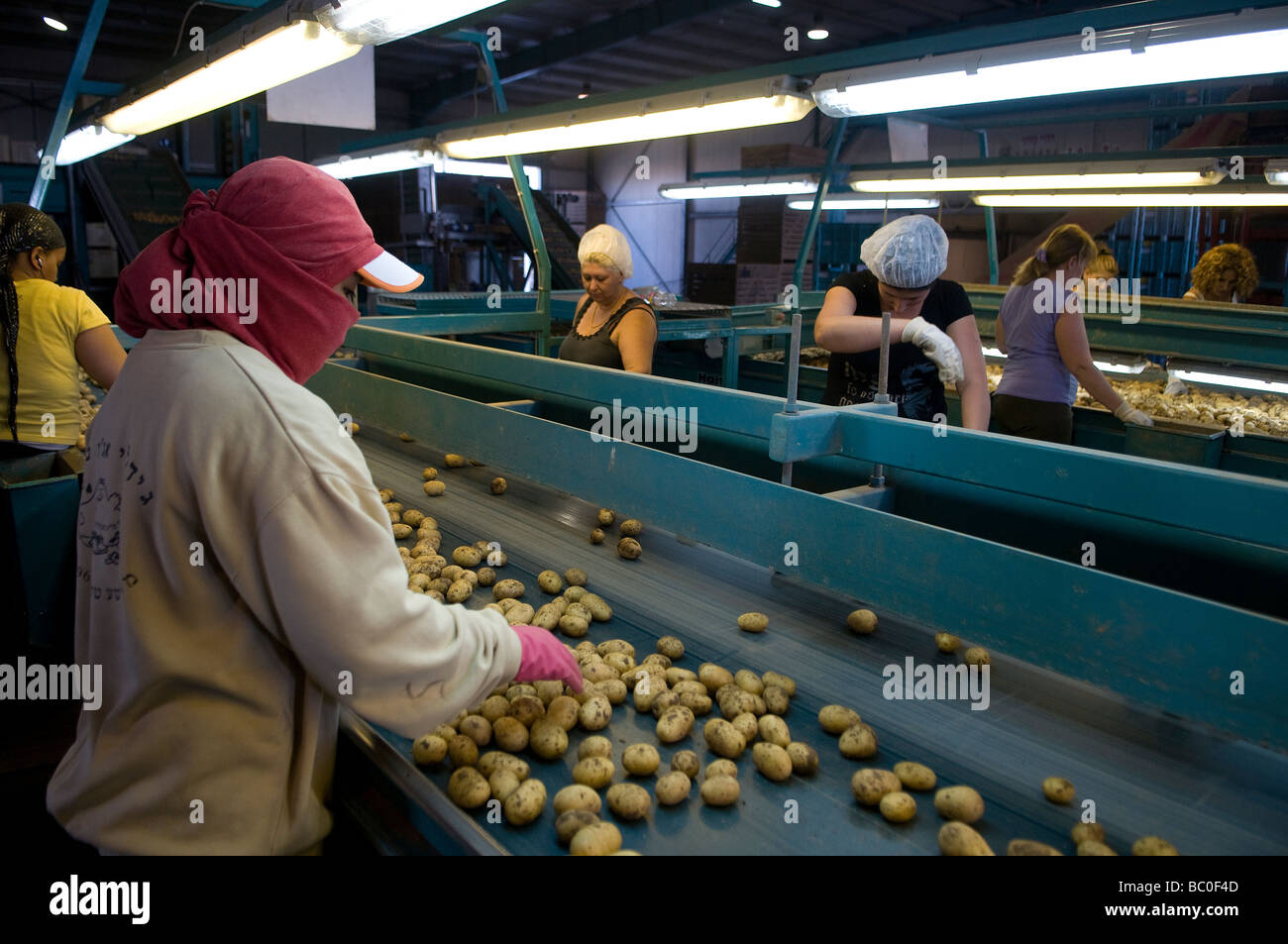 Migrant labour group High Resolution Stock Photography and Images - Alamy