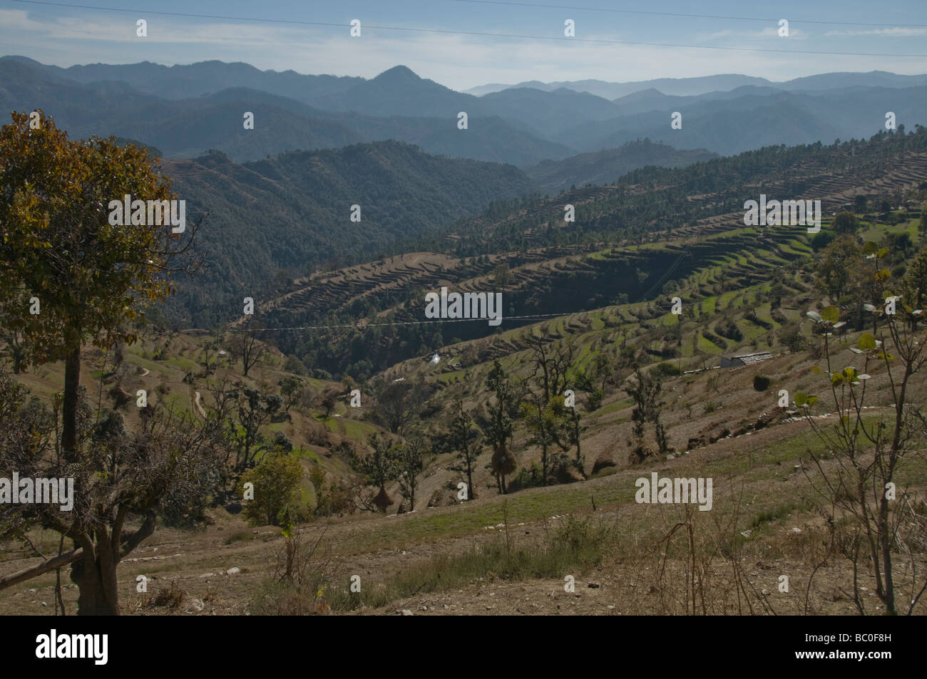 Rural India, Lower Himalayas,Kumaon Villagers, Ancient Terraces ...