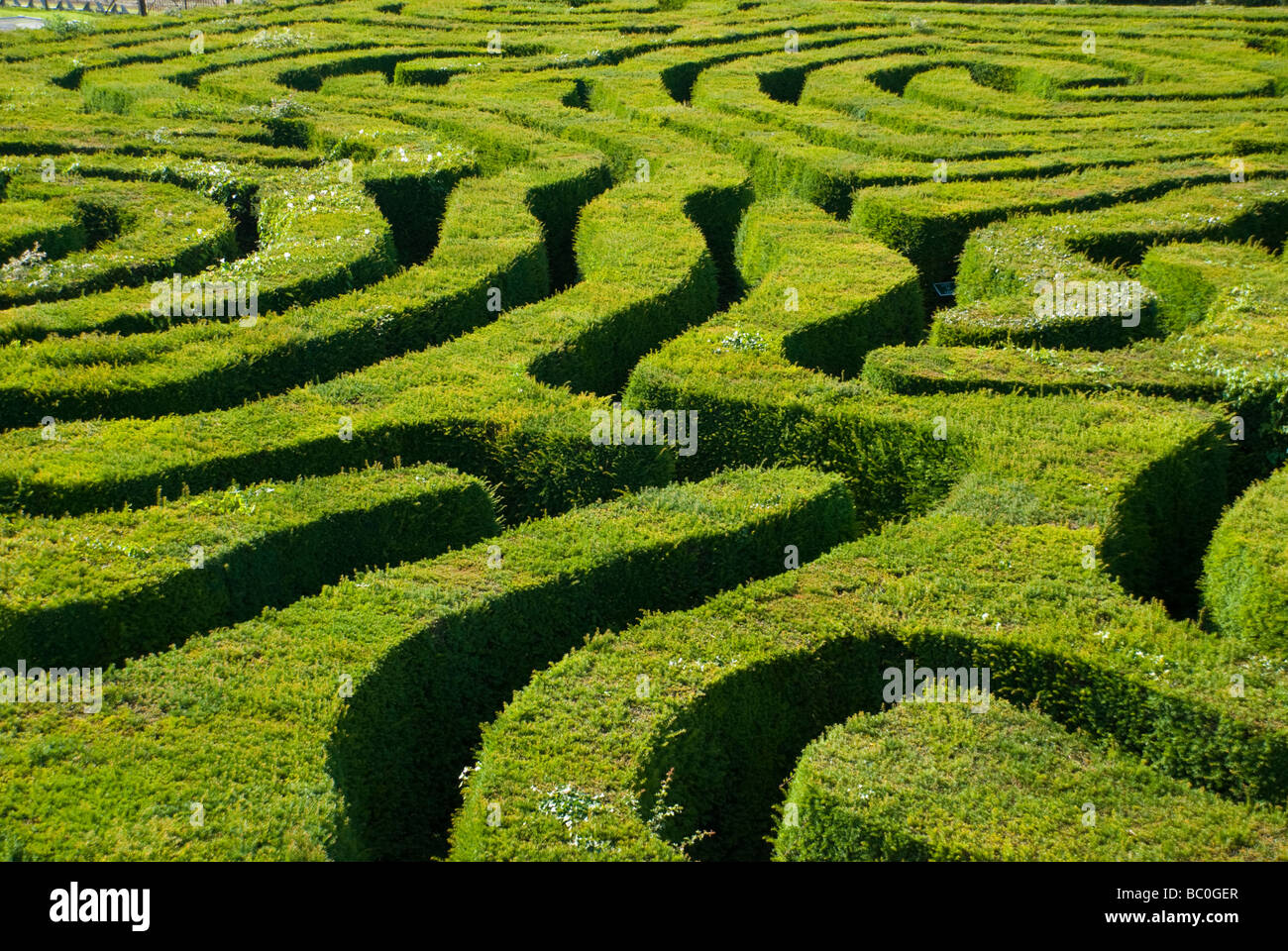 Maze hedge pattern labyrinth hi-res stock photography and images - Alamy