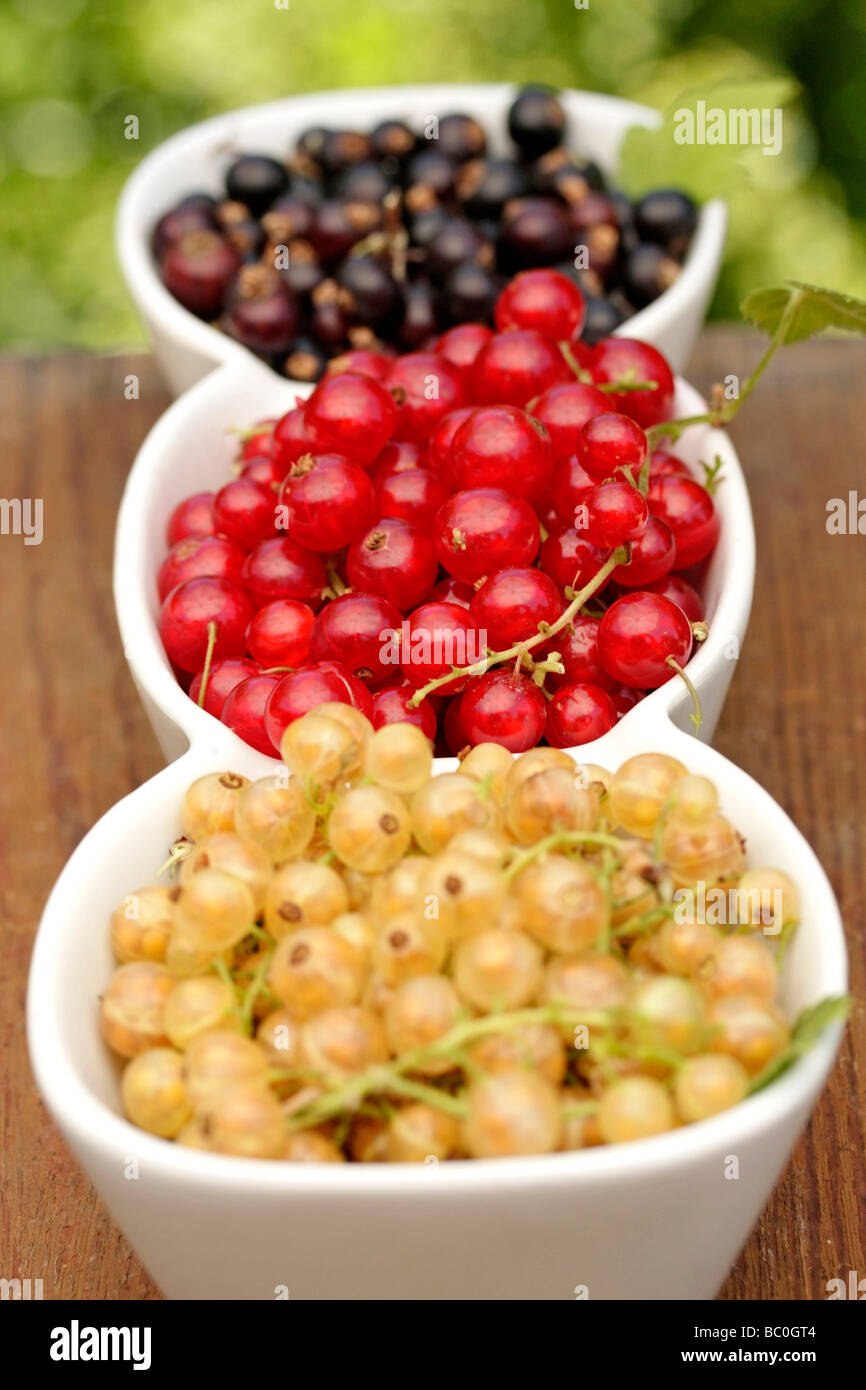 Black is the most essential color hi-res stock photography and images ...